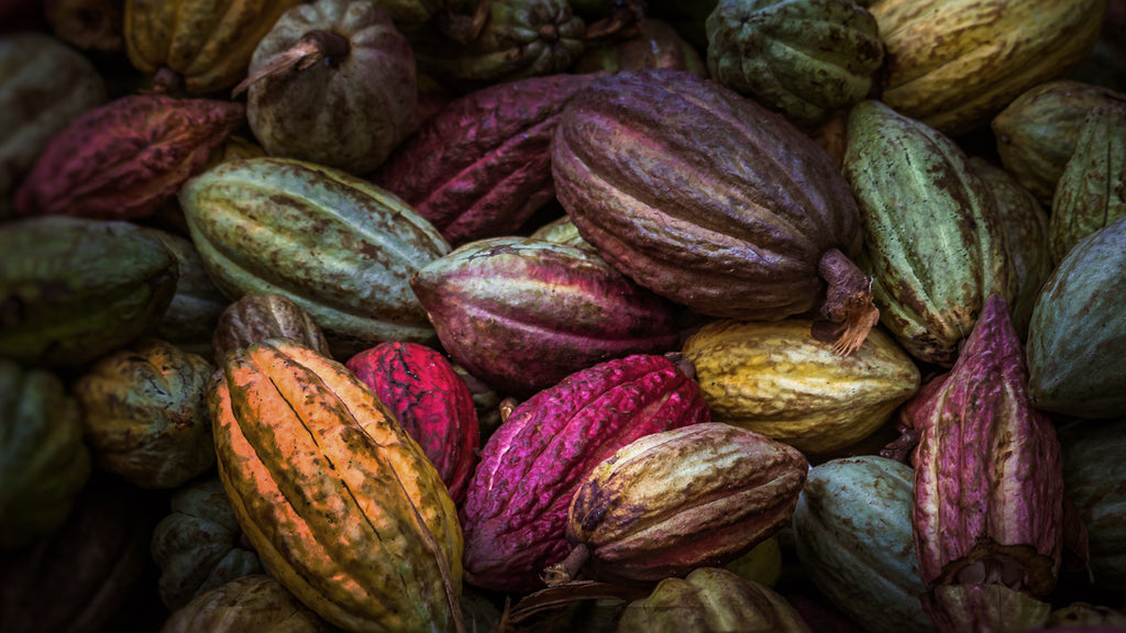 Paccari's Take on the Chocolate Conundrum: Rising Prices and What's Ne ...